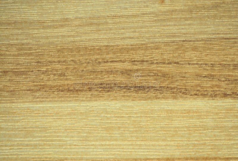 Light Teak, Flat Surface of Natural Wood Close-up Stock Image - Image ...
