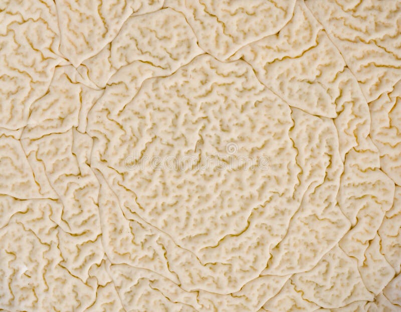 The Light Texture of Sour Milk Stock Photo - Image of beige, texture ...