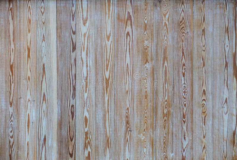 Old pine boards stock image. Image of fibres, flora, fence - 14296191