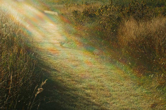 Light to my Path stock photo. Image of sunrise, guide - 1303646