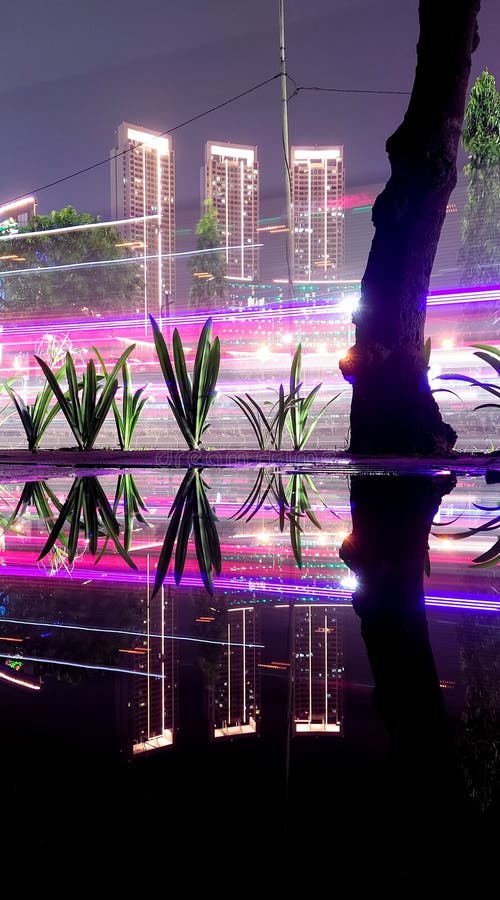 Light Track View with Water Reflection from Pedestrian Path Stock Image ...