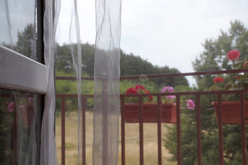 219 Balcony Overlooking Forest Stock Photos - Free & Royalty-Free Stock ...