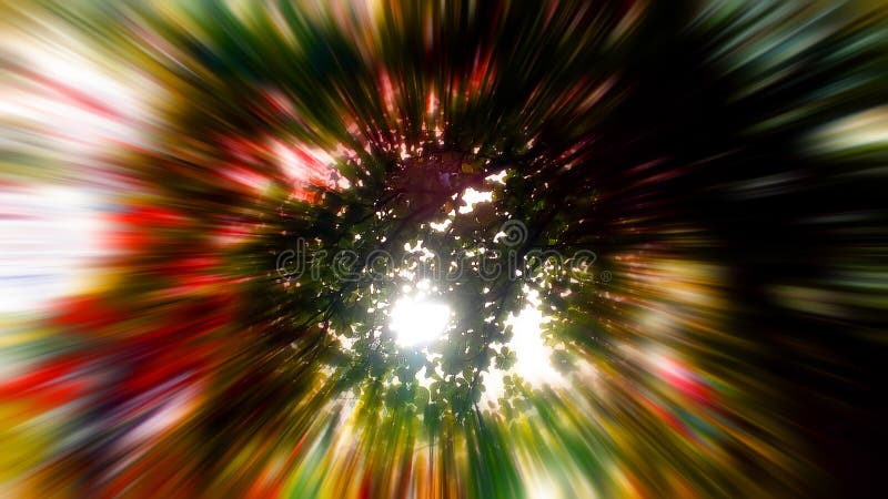 The Light from the Tree is Very Light, the Color is Sparkling Li Stock ...