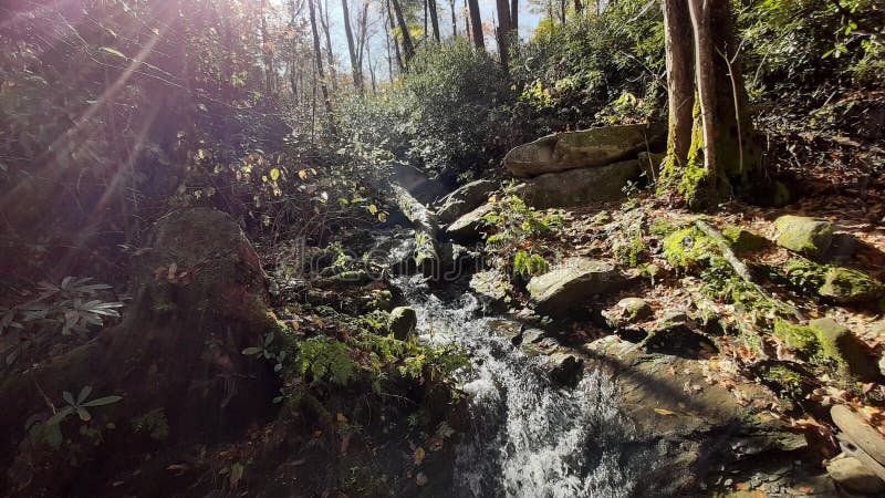 Light through the treeline stock photo. Image of rocks - 209137154