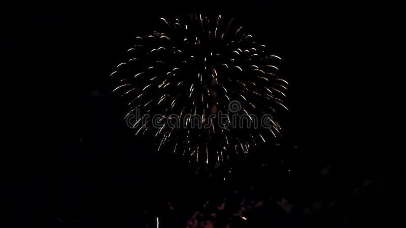 Colorful Fireworks Exploding on Wide Black Sky in Night for ...