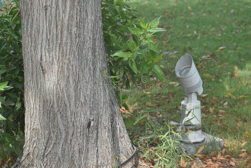 Light Up for a Tree.Spot Light Design for Night Stock Photo - Image of ...