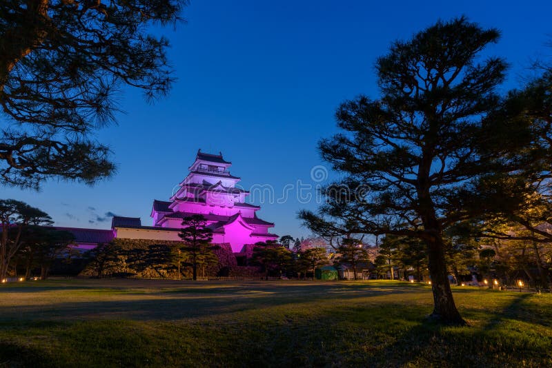 Light Up at Tsuruga Castle (Aizu Castle) Surrounded by Hundreds Cherry ...