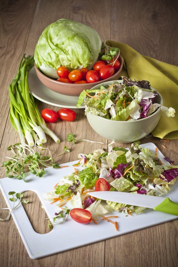 Light vegetable salad stock photo. Image of appetizer - 37442218