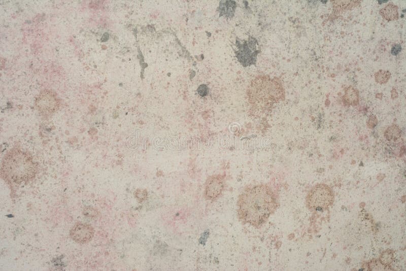 Light Wall with an Interesting Texture of a Round Fungus Stock Photo ...