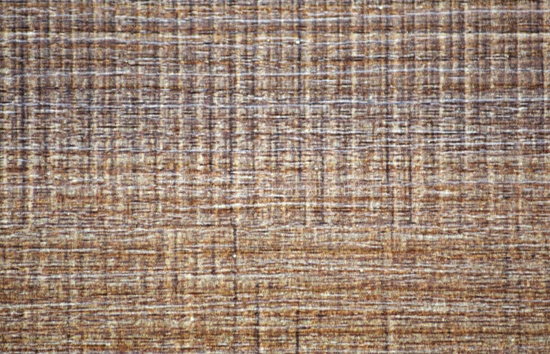 Light Walnut Natural Wavy Pattern of Wood on a Cut Closeup Stock Image ...