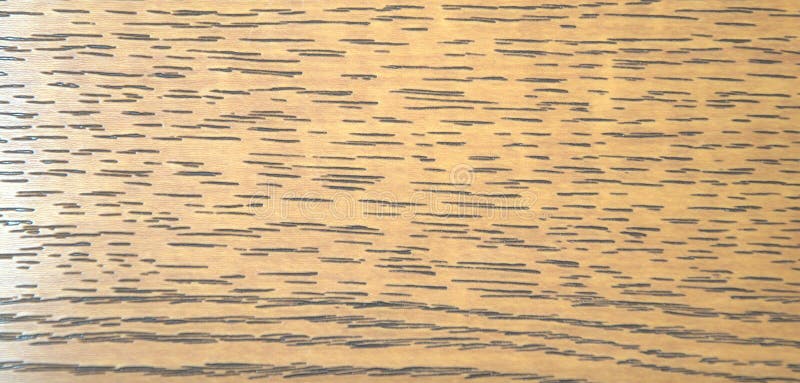 Light Walnut Natural Wavy Pattern of Wood on a Cut Closeup Stock Image ...