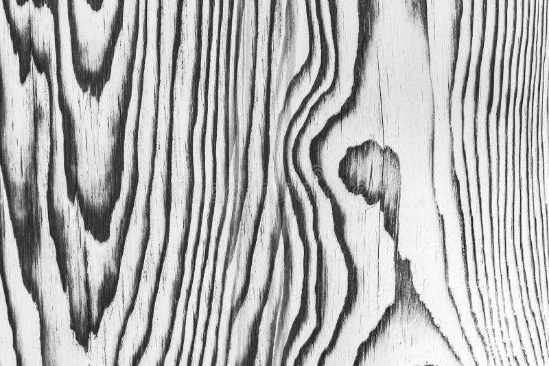 Light White Grey Wood Surface with Natural Black Charred Burnt Patterns ...