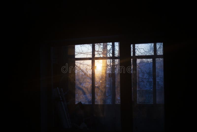 Morning Light Window