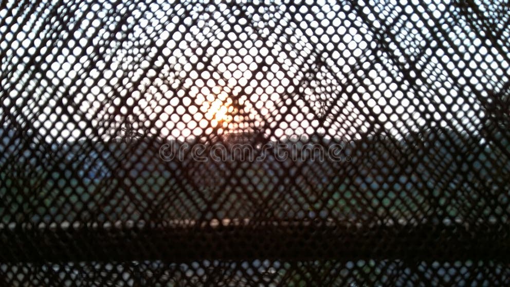 The Light of Wisdom stock image. Image of blurs, morning - 47678899