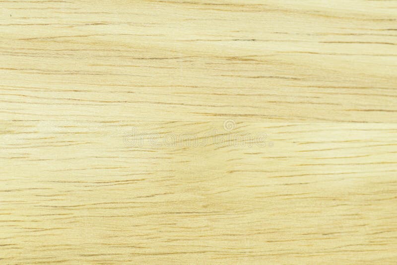 Light Wood Background stock photo. Image of nature, detail - 50609296