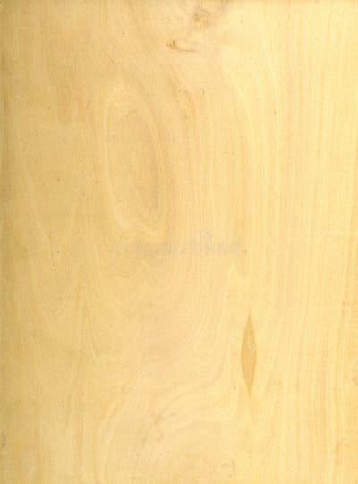 Light Wood Pine Texture stock photo. Image of parquet - 1306296