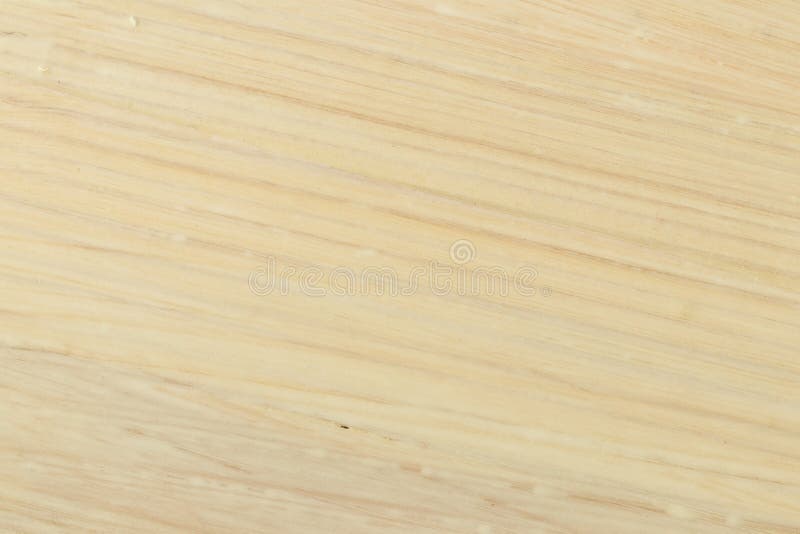 Light wood texture. stock image. Image of nature, pattern - 247395539