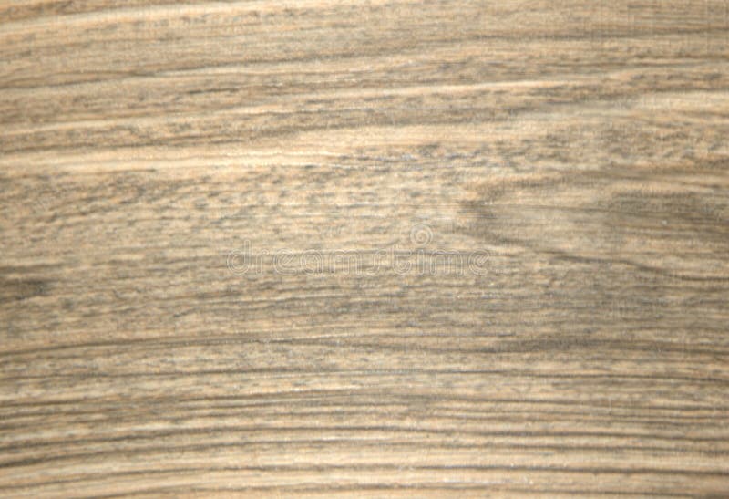 Light Wood. Texture, Background, Natural Pattern Stock Photo - Image of ...