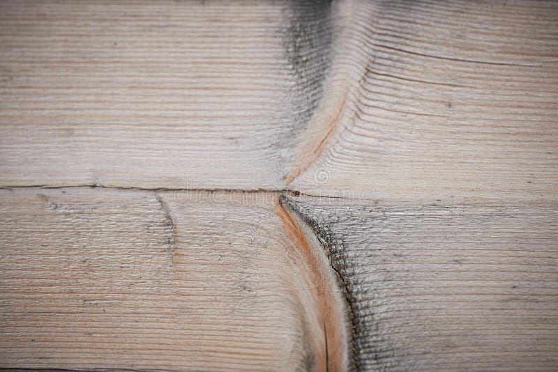 Light Wood Texture. Bleached Oak. the Texture is Close Stock Photo ...