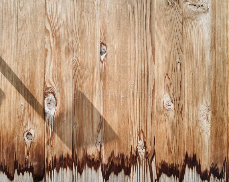 Light wood texture stock image. Image of pattern, empty - 137734993