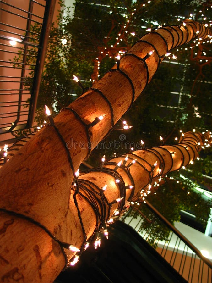 Light Wrapped Tree stock image. Image of nature, rail, christmas - 375947