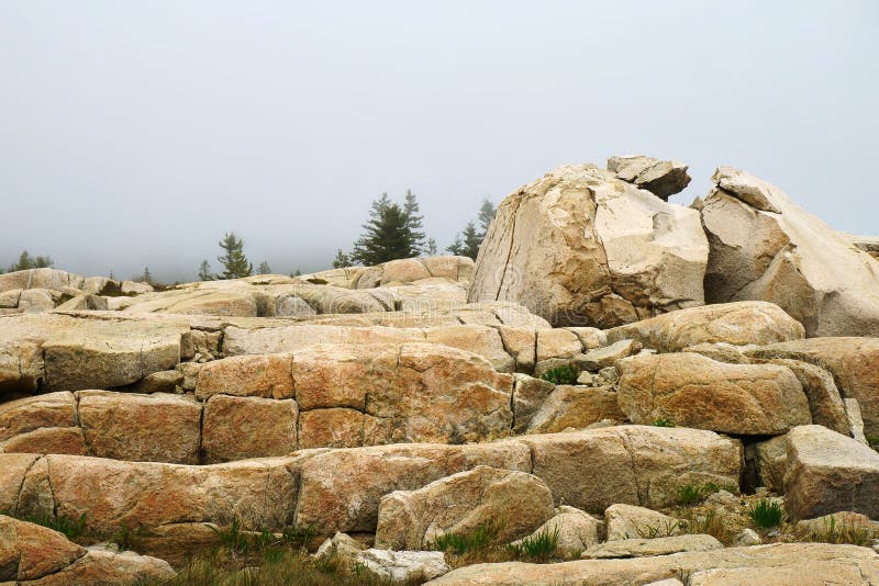 Light Yellow Boulders with Treetops in the Fog on the Background. Stock ...