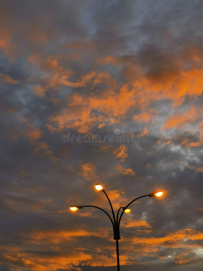 Light Up Your Life. Cropped Shot of a Lightbulb Turned on Isolated on ...