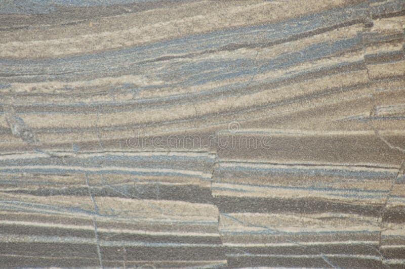 Light Zebrano Walnut, Surface with a Rich Pattern in Stripes, Natural ...