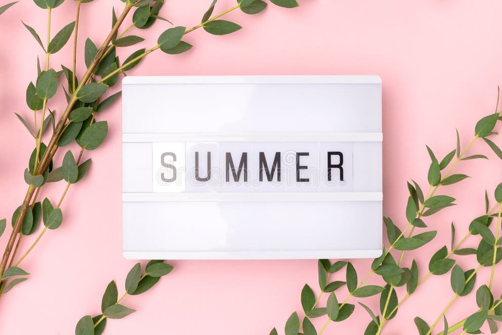 Lightbox with Word Summer. Eucalyptus Branches. Stock Photo - Image of summer, season: 314702842