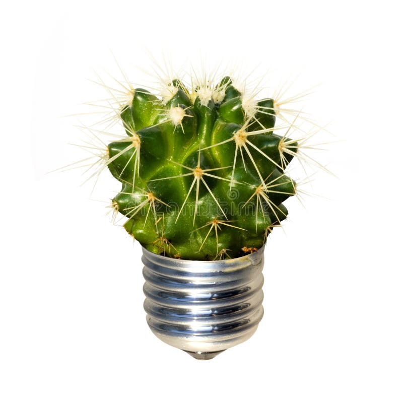 Lightbulb and Cactus Decor Items Stock Photo - Image of fixture, flora ...