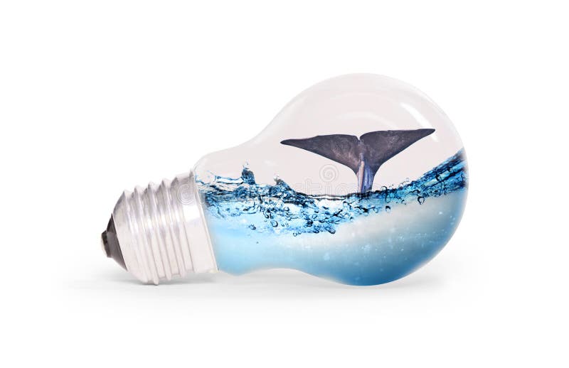 Lightbulb with Water and a while Diving Inside Stock Image - Image of ...