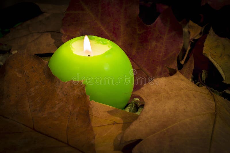 Lighted Candle on the Background of a Large Number of Wilted Lea Stock ...