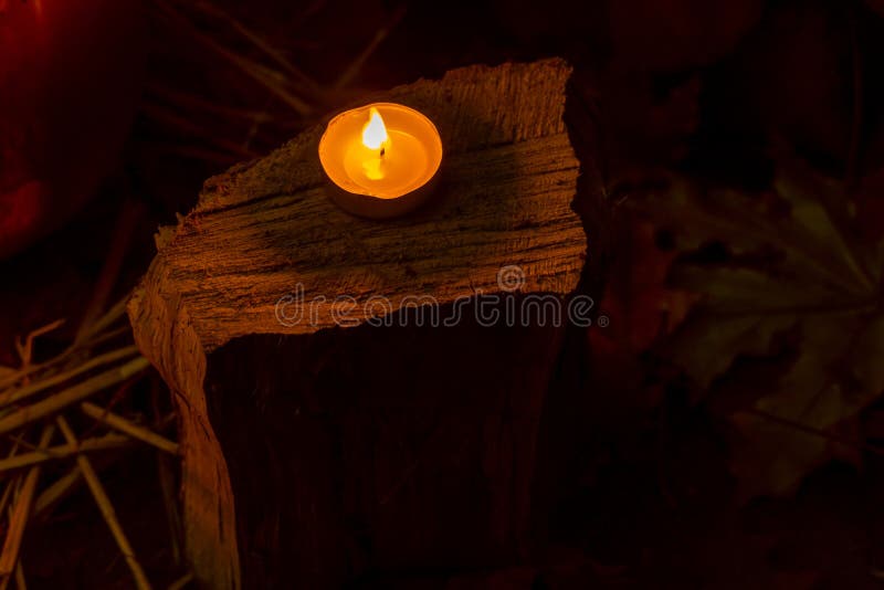 Lighted Candle on a Wooden Log at Night Stock Image - Image of pumpkin ...