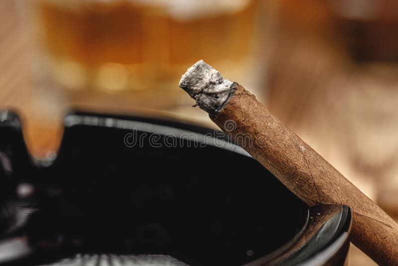 Lighted Cigar in an Ashtray Close Up Stock Image - Image of tobacco ...