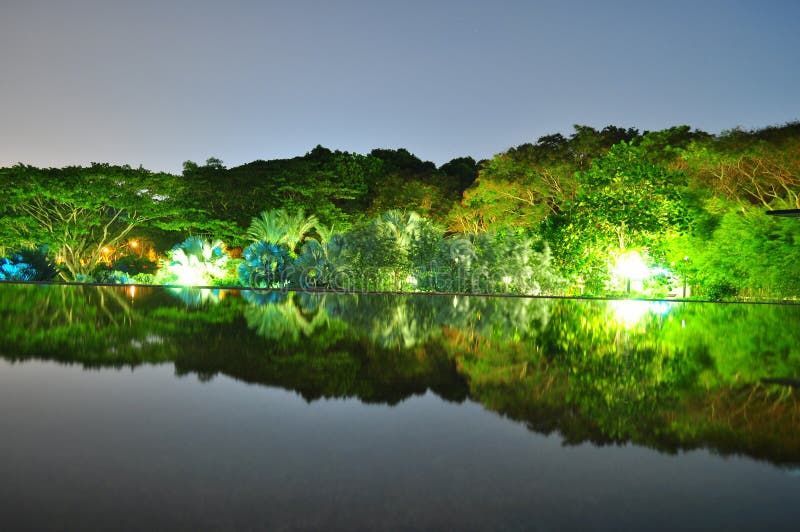 Lighted greenery by night stock photo. Image of reflection - 21924470
