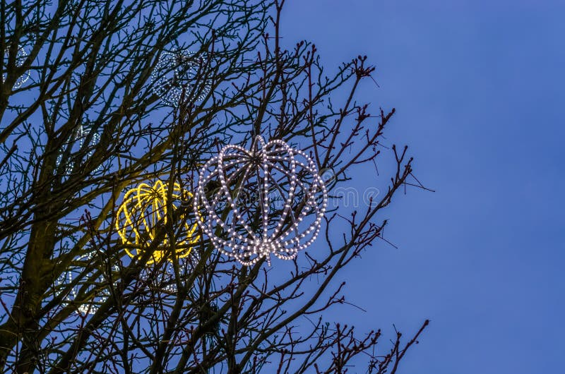 Lighted Led Spheres Hanging in the Trees, Beautiful Outdoor Winter ...