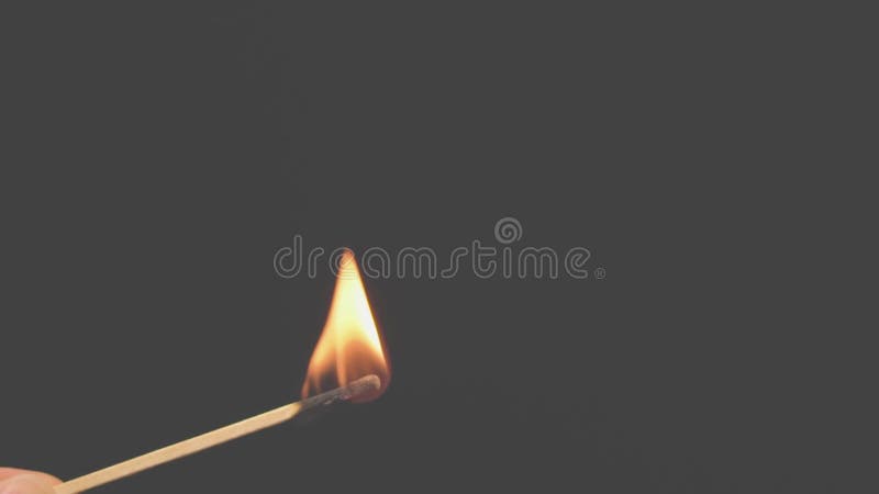 A Lighted Match Burns with Smoke on a Black Background. Concept of Slow ...