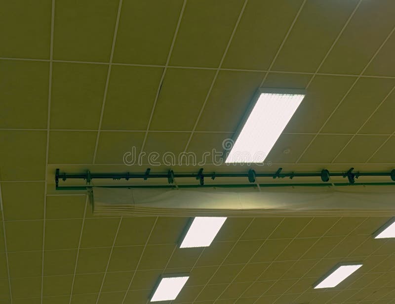 Lighted Panel of Mercury Fluorescent Lamp Tubes. Lights System in Line ...