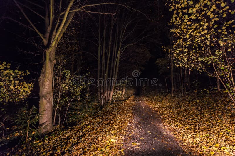 Lighted Path with Fallen Leaves at Night Stock Photo - Image of czech ...