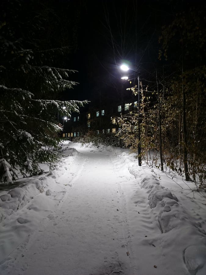 Lighted Path Light stock image. Image of beautiful, shine - 16448515