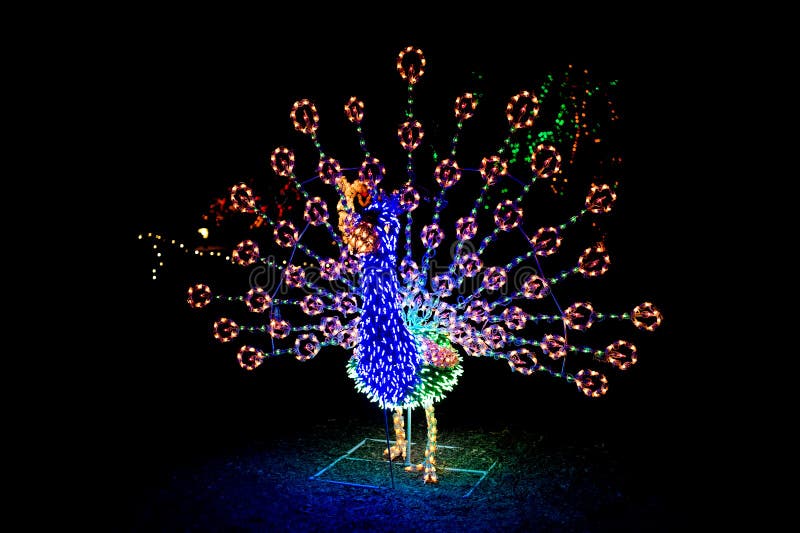 Lighted peacock display stock photo. Image of horizontal - 12421436