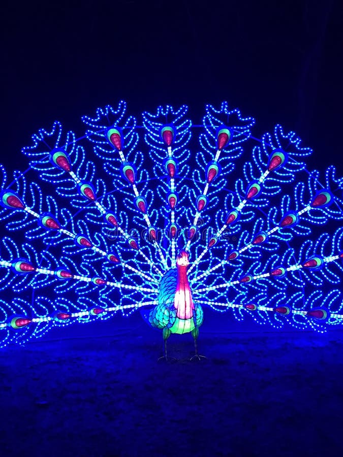 Lighted peacock display stock photo. Image of horizontal - 12421436
