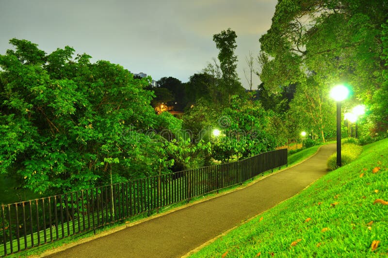 Lighted Walkway at Kent Ridge Park Stock Image - Image of scenery ...