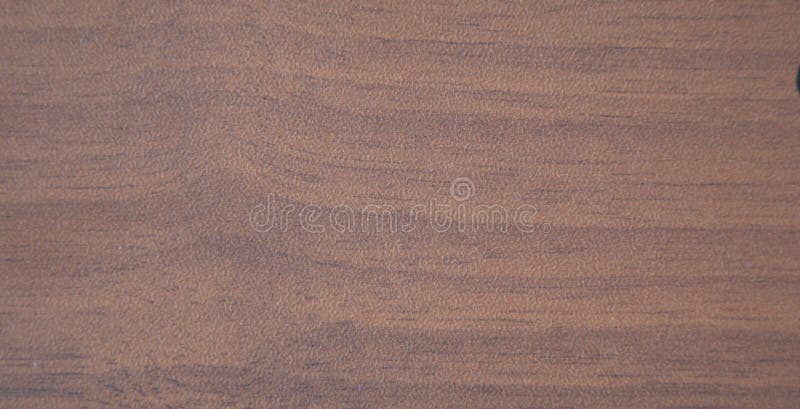 Mahogany, Natural Drawing of Wood Texture on a Slice Closeup Stock ...