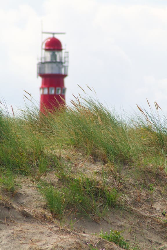 Lighthouse stock photo. Image of architecture, plant, plants - 2837816