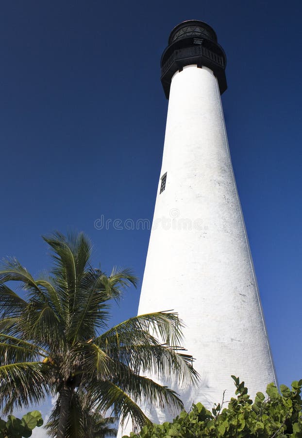 TijuanaLighthouse stock photo. Image of tree, pacific - 1178018