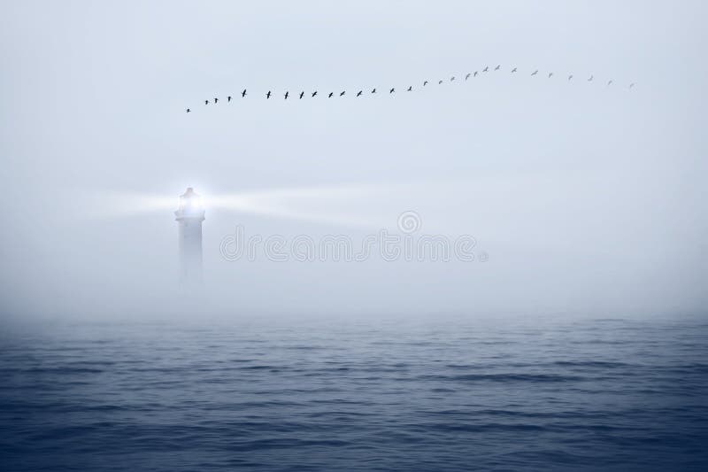 Lighthouse and Birds in the Sky Stock Image - Image of assistance ...