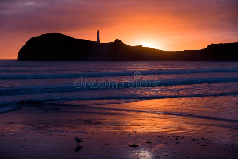 Lighthouse at dawn stock photo. Image of zealand, blue - 23492606