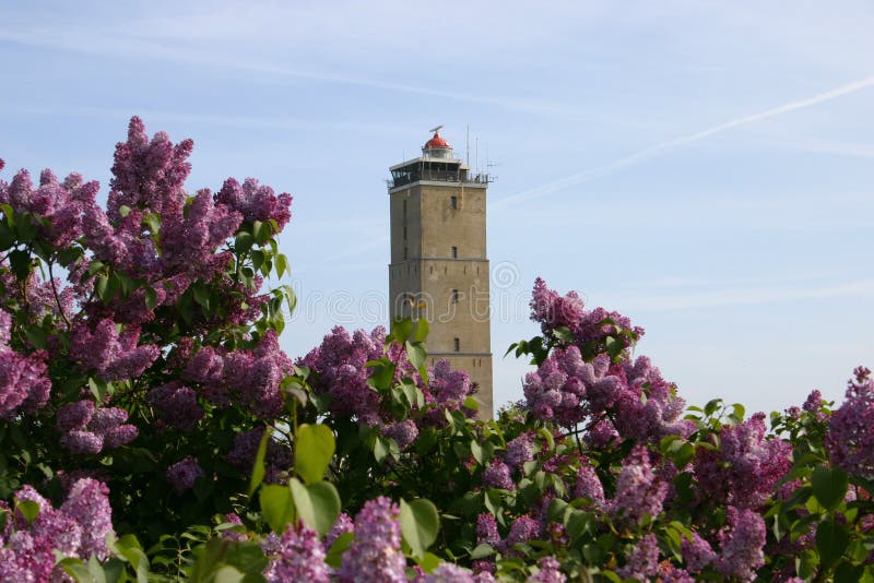 Lighthouse with flowers stock image. Image of flowers - 11204245