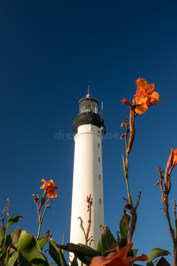 Lighthouse with Flowers with Deep Blue Sky at Behind Stock Image ...